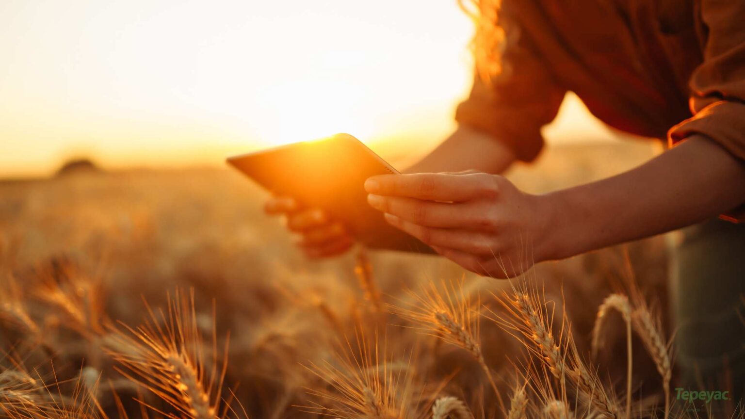 La Revolución de la Inteligencia Artificial en la Agricultura ...